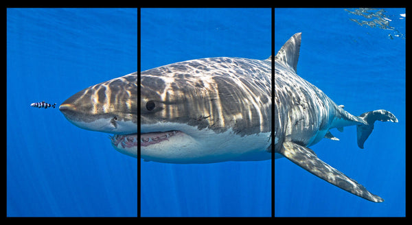 Lucy - Doherty Photography