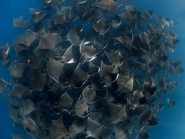 Grace - Doherty Photography