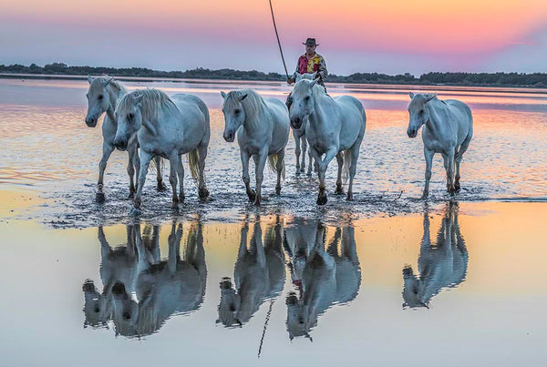 Loyalty - Doherty Photography