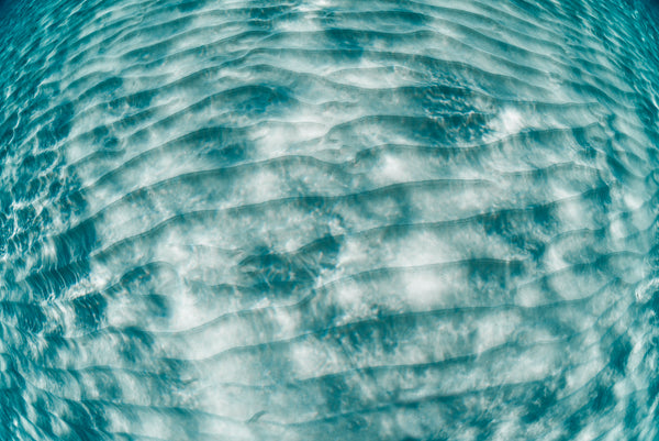 Sandy Bottoms - Doherty Photography