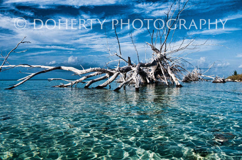 Landscapes - Doherty Photography
